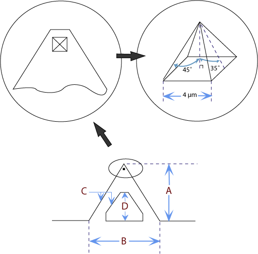 Tip Shape of Silicon Nitride Probes
